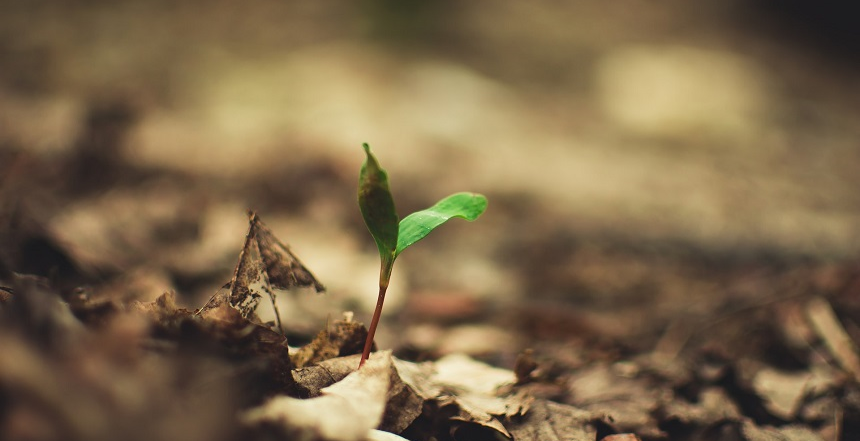 Leaders Today Need to Convey Hope and Realistic Optimism